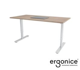 ERGONICE® BOLT BUREAU: verstelbaar door schroeven, stabiel, standvast